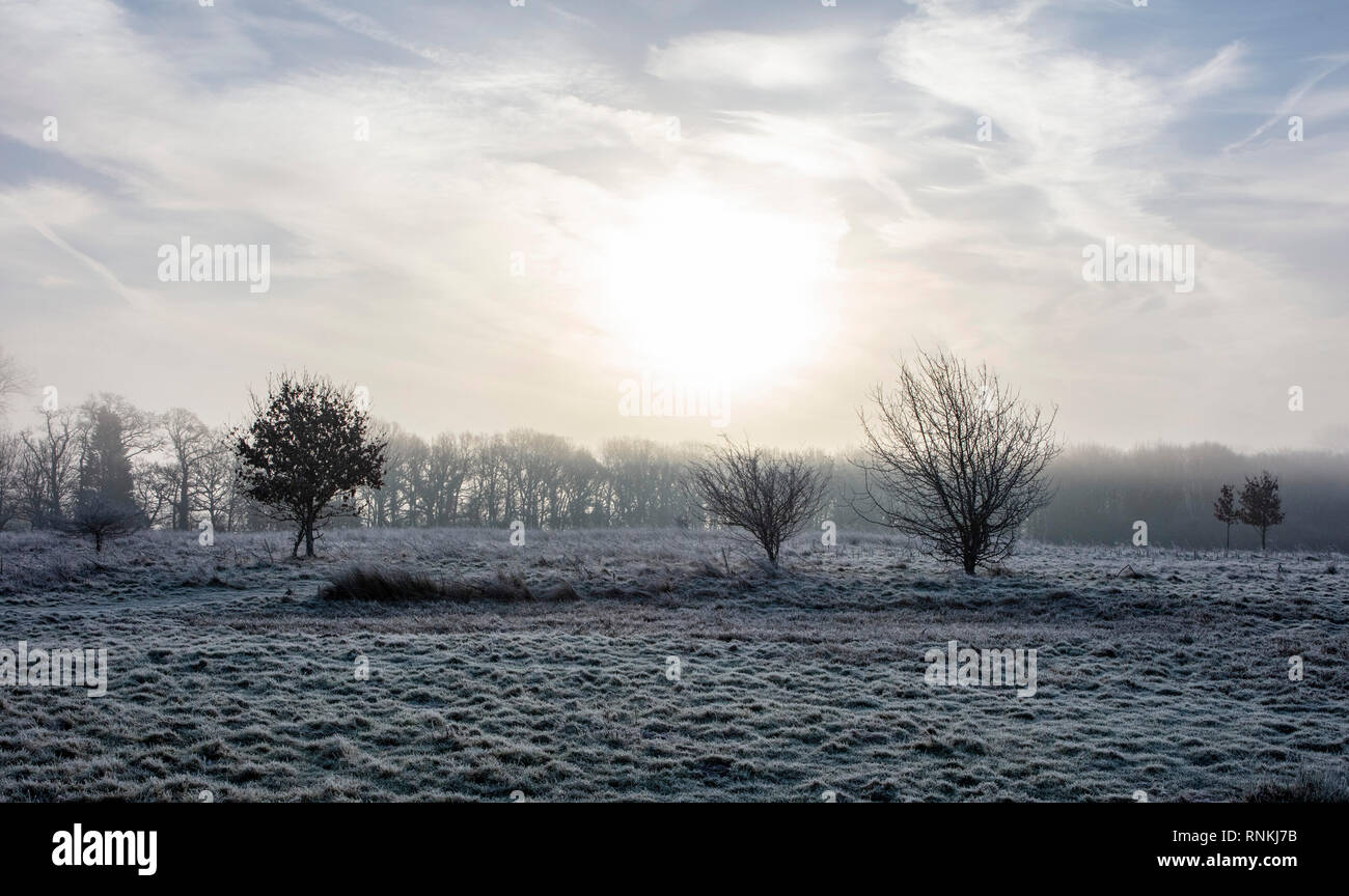 Ditchling common east sussex hi-res stock photography and images - Alamy