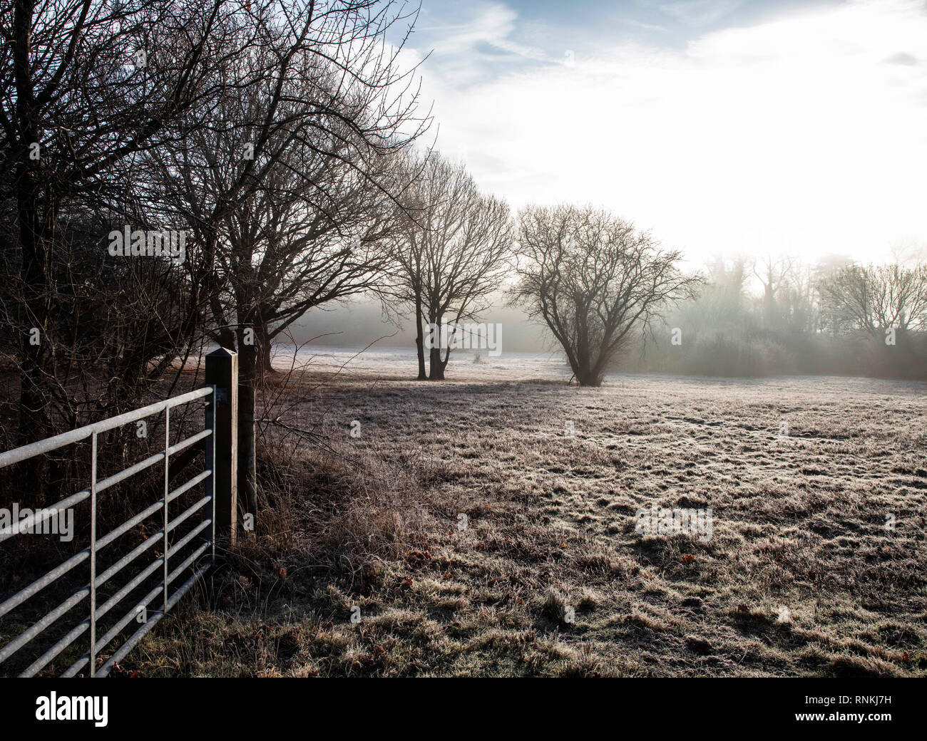 Ditchling common east sussex hi-res stock photography and images - Alamy
