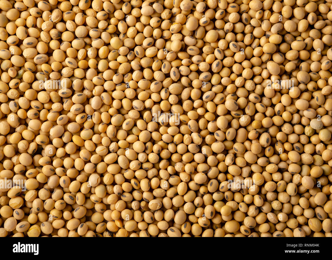 Nature soybeans background Stock Photo - Alamy