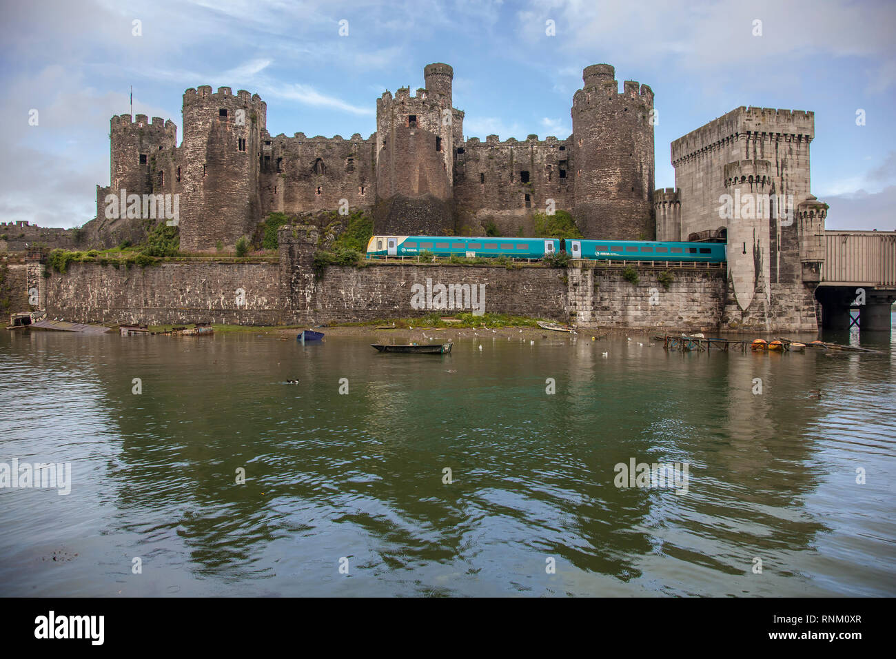 Arriva train passes Conwy Castle Stock Photo - Alamy