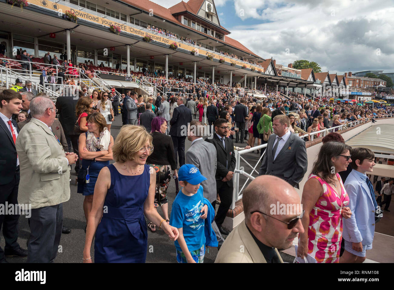 Family horse race hi-res stock photography and images - Alamy