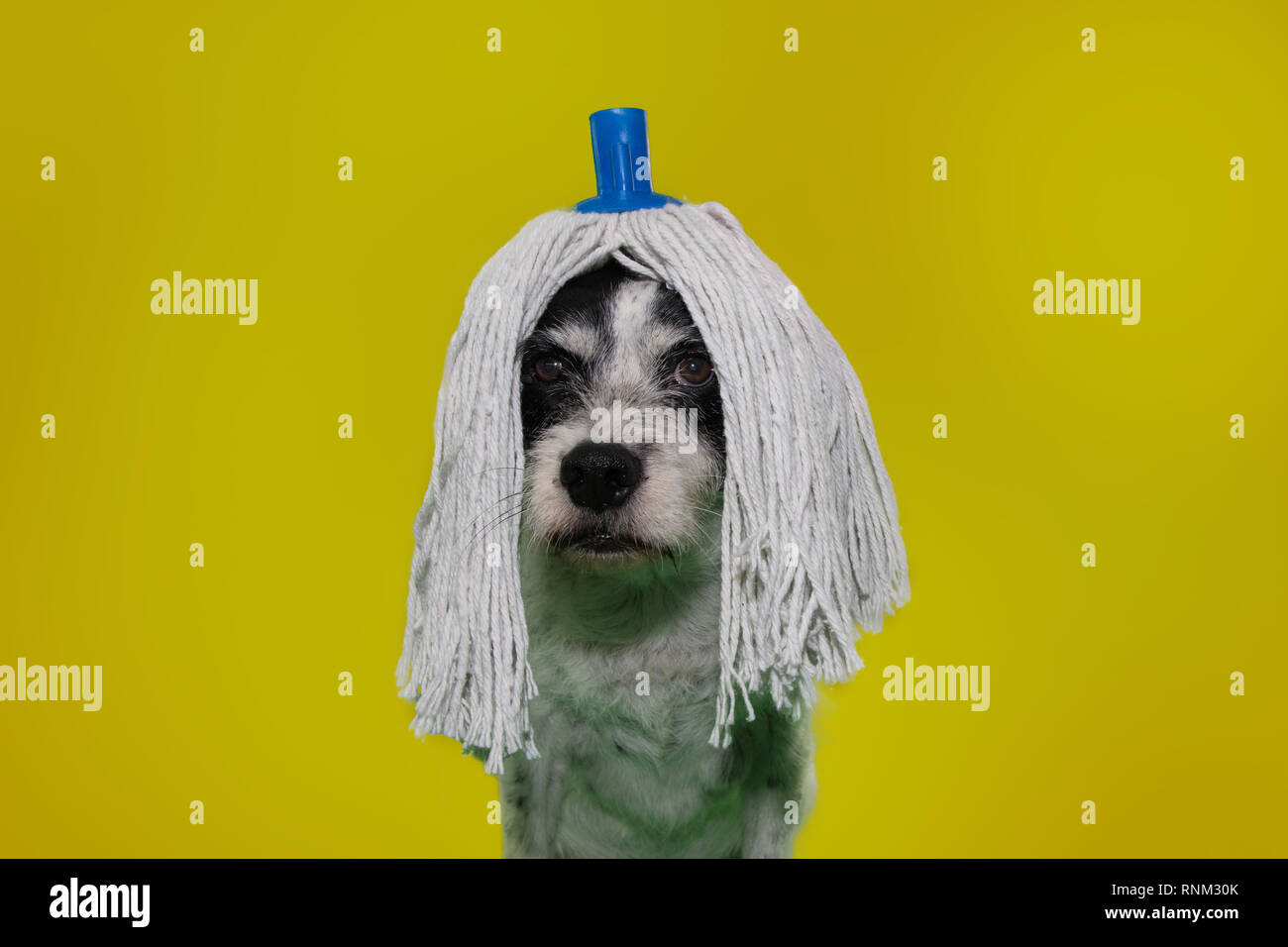 Mop cap hi-res stock photography and images - Alamy