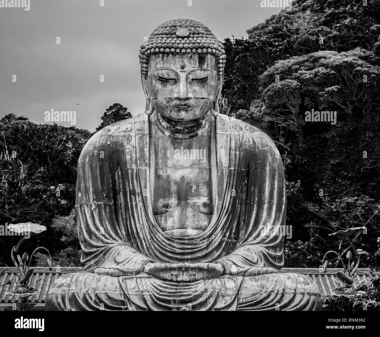 World famous Daibutsu Buddha - the Great Buddha Statue in Kamakura ...