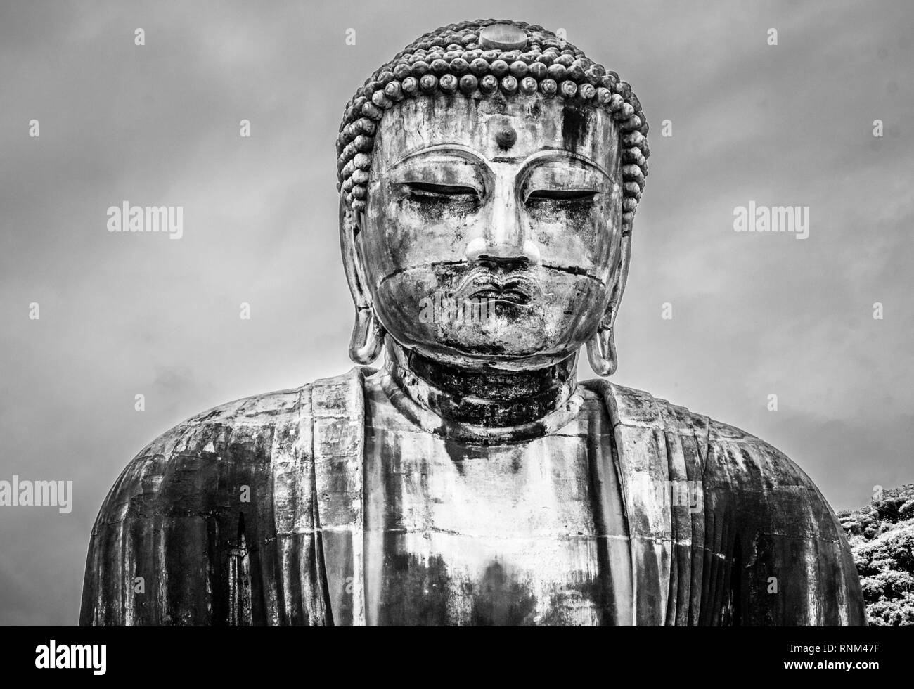 World famous Daibutsu Buddha - the Great Buddha Statue in Kamakura ...