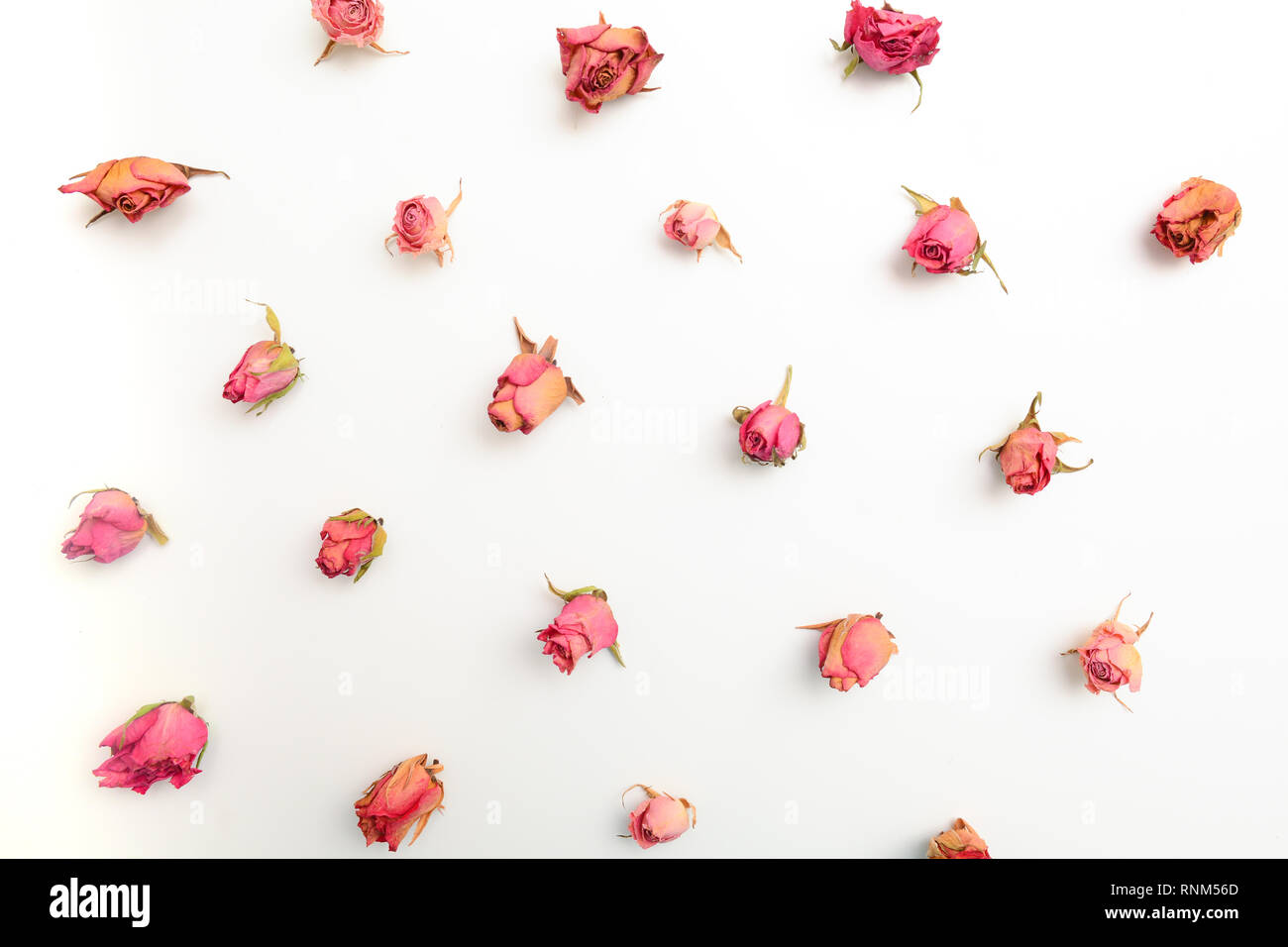 Floral pattern flat lay. Overhead top view of flower petal design for ...