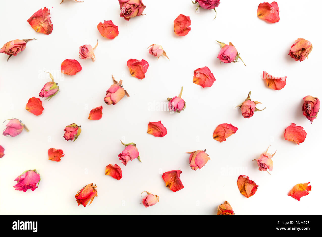 Floral pattern flat lay. Overhead top view of flower petal design for ...