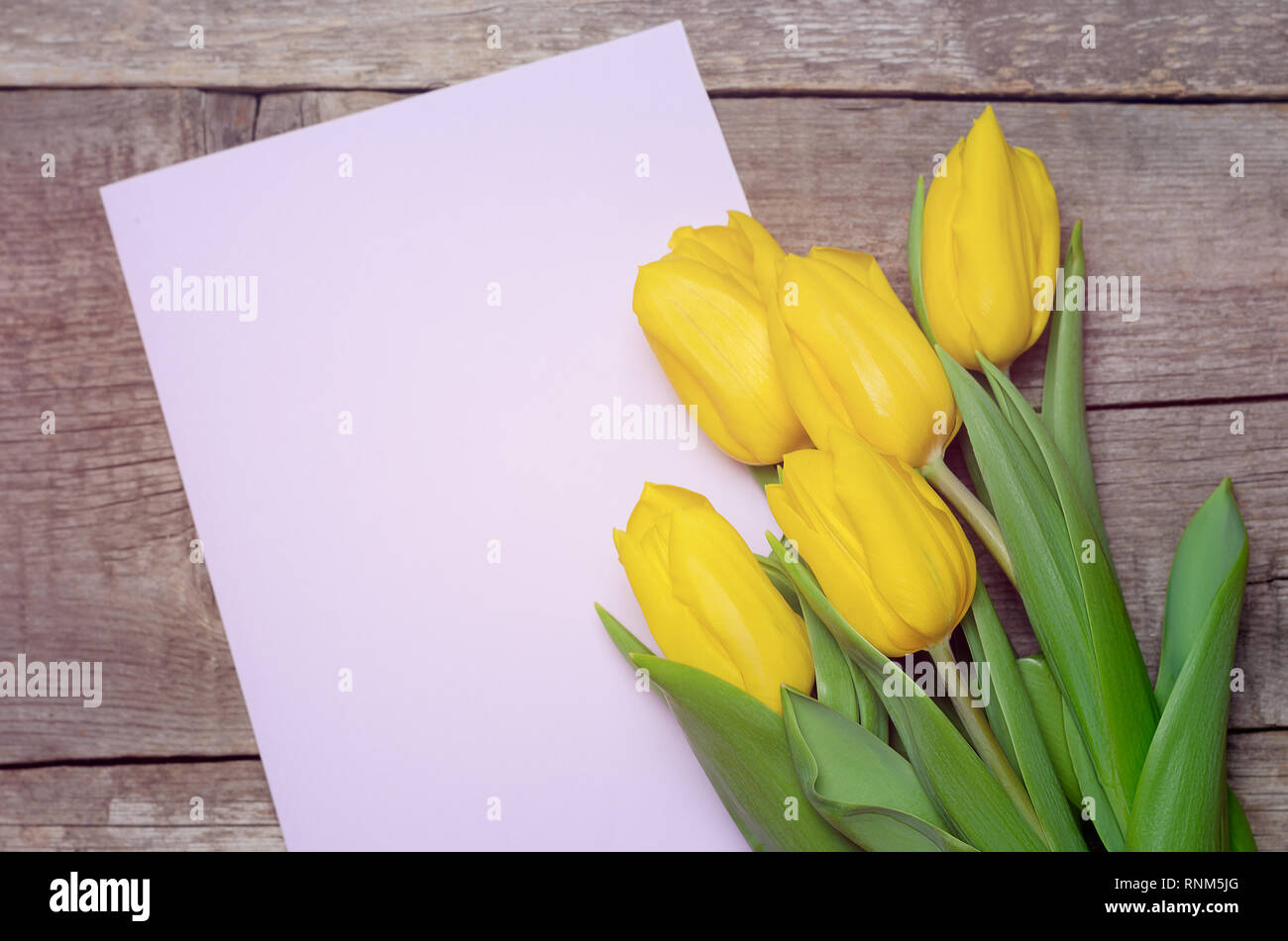 Yellow tulips and light purple card on wooden background Stock Photo ...