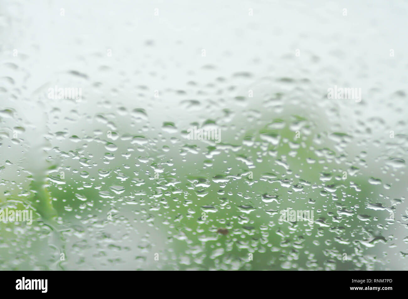 rain or dew drop on window or rainy day Stock Photo - Alamy