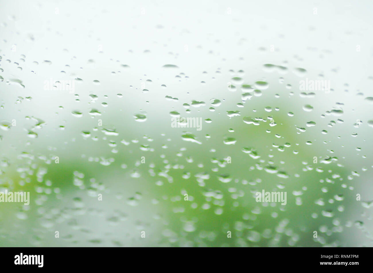 rain or dew drop on window or rainy day Stock Photo - Alamy