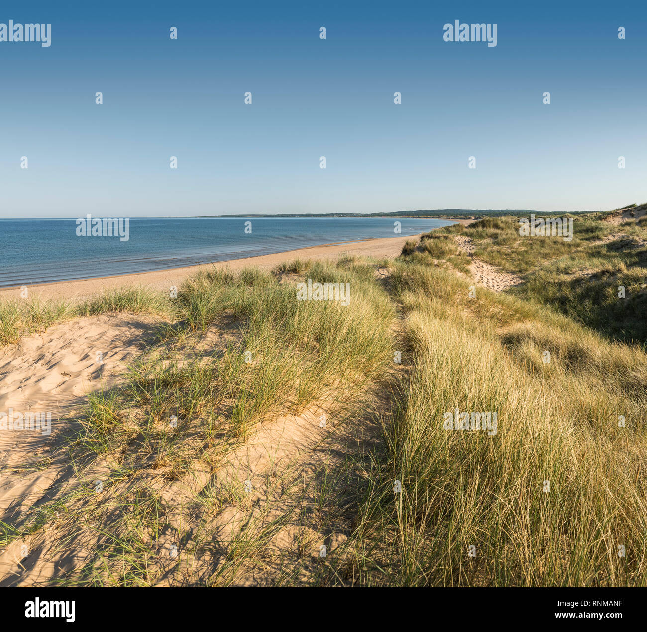 Sand dunes and empty beach at Tylosand, Halmstad, Halland, Sweden ...