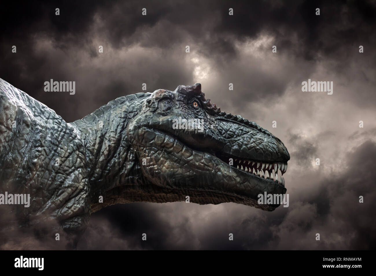Tyrannosaurus rex in the storm Stock Photo - Alamy