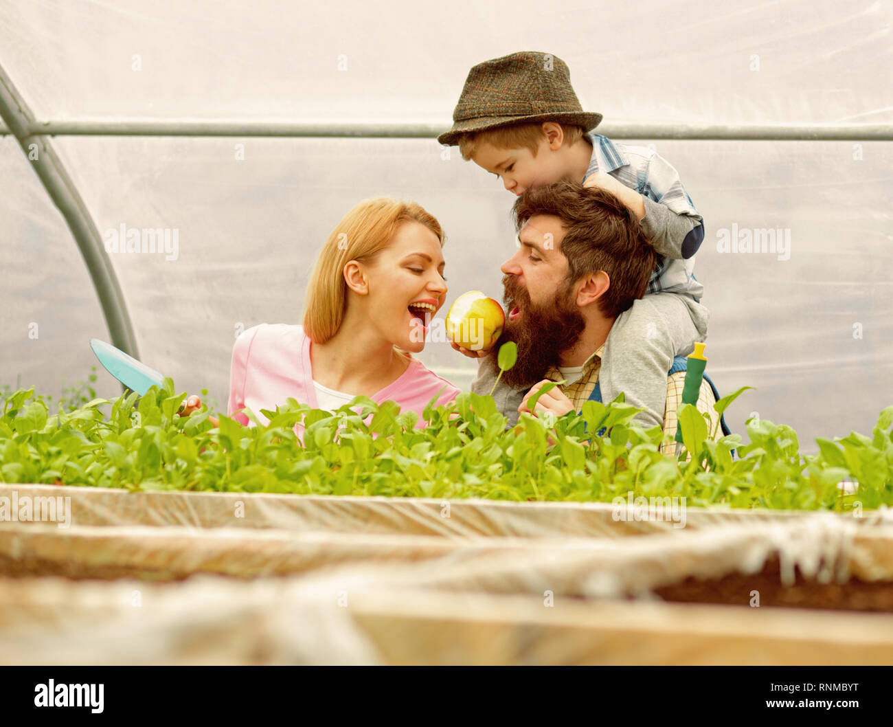 farm greenhouse. happy family in farm greenhouse. greenhouse farm for ...
