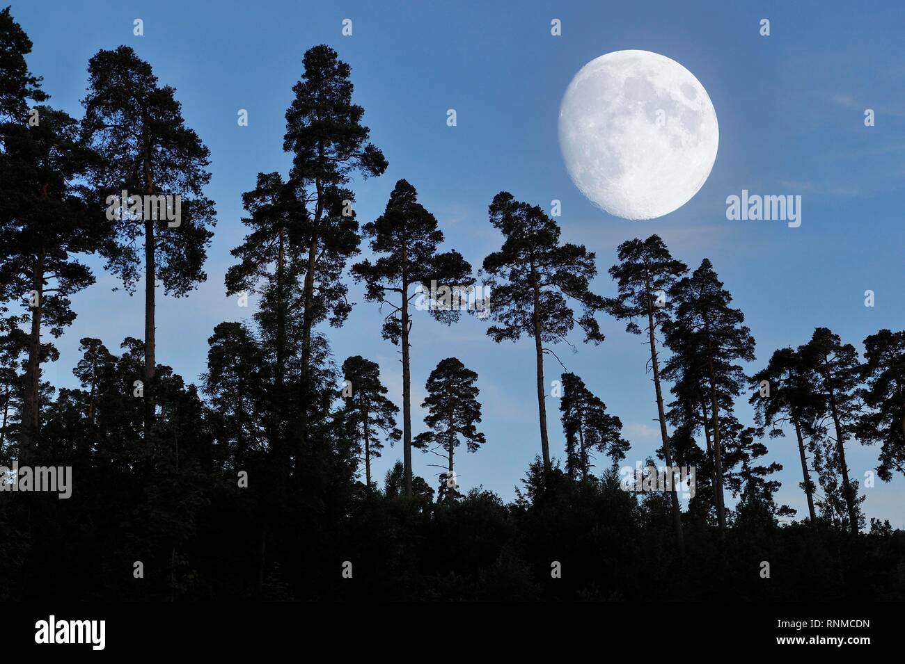 Moon full moon germany baden baden hi-res stock photography and images ...