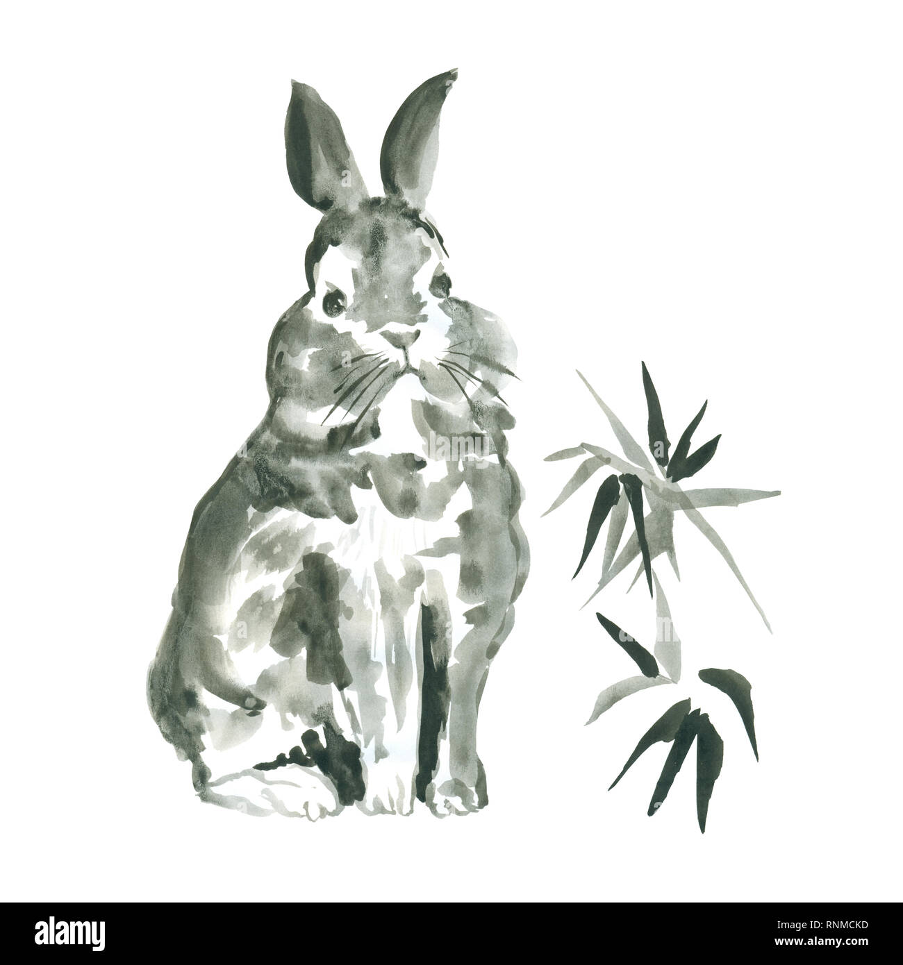 cute ink hare with bamboo leaves isolated on white background Stock ...