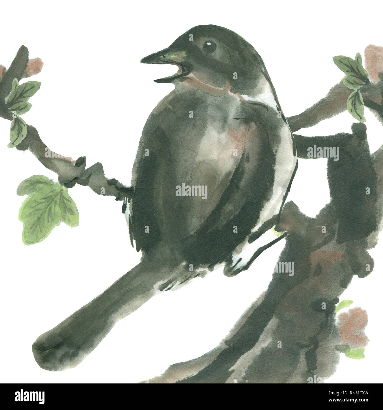 ink bird sitting on the branch with leaves isolated on white background ...