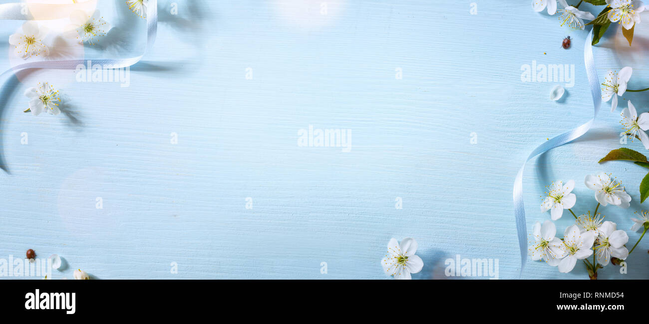 Spring floral background with spring white flower; bright Easter ...