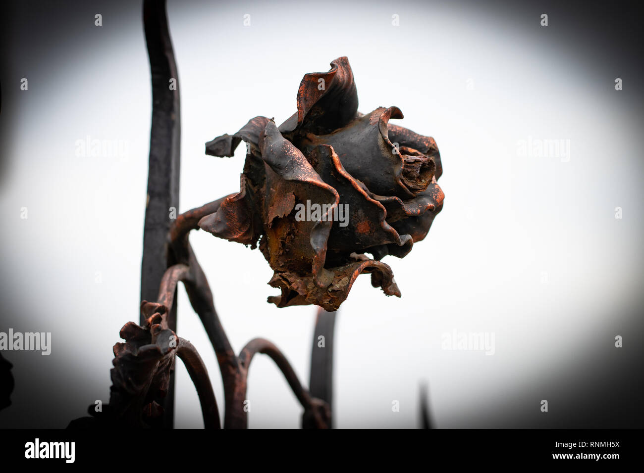 beautiful decorative metal elements forged wrought iron gates Stock ...