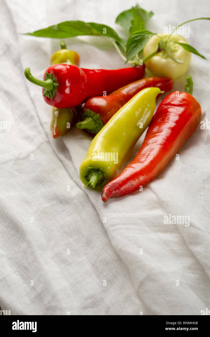 Harvest of organic paprika Stock Photo - Alamy