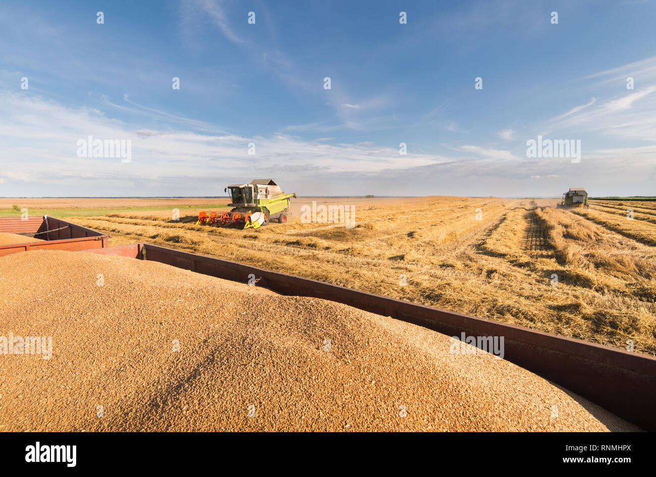 Harvesting soy bean fields hi-res stock photography and images - Alamy