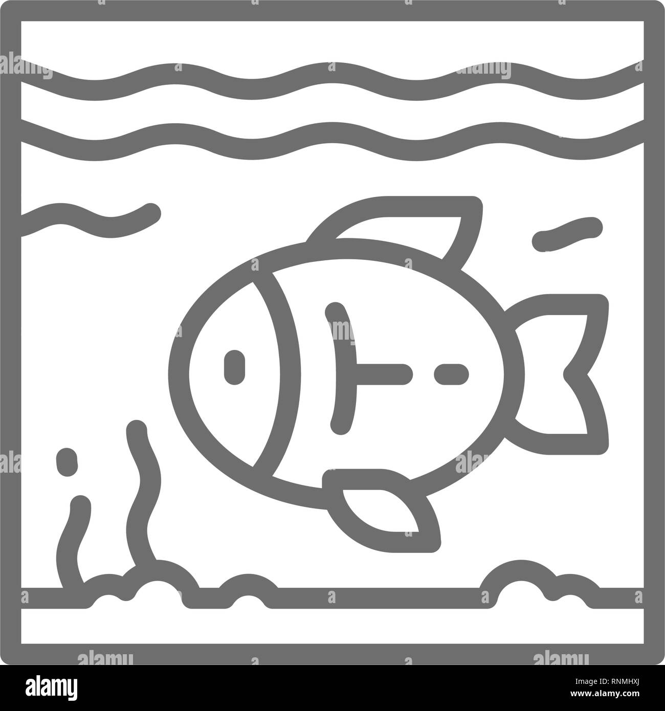 Fish pet equipment Black and White Stock Photos & Images - Alamy