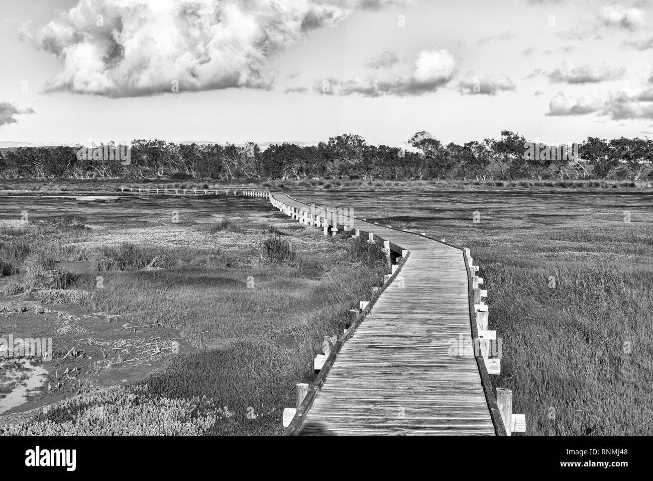 View from the boardwalk to the Geelbek Bird Hide on the Langebaan ...
