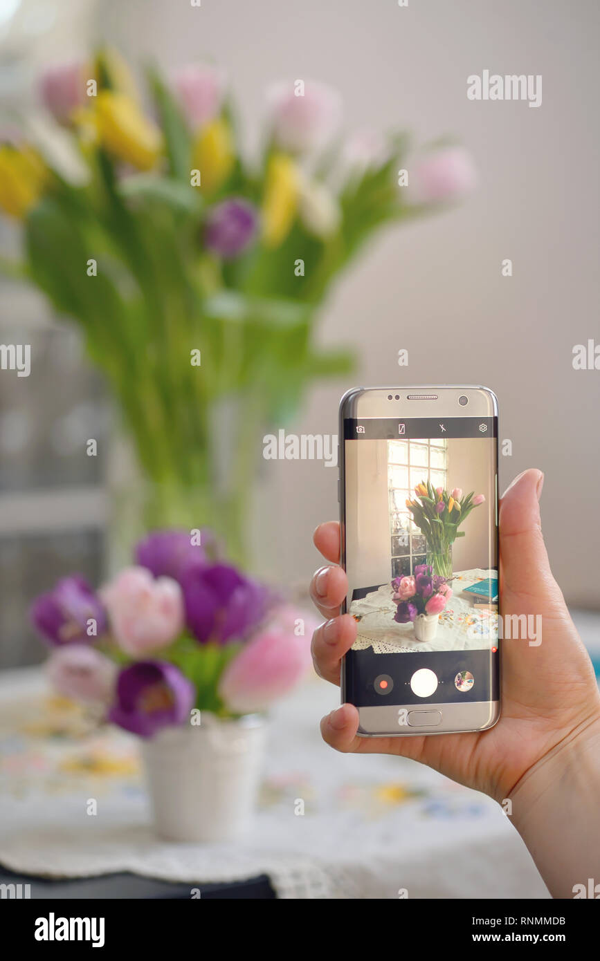 Pictures of spring hi-res stock photography and images - Alamy