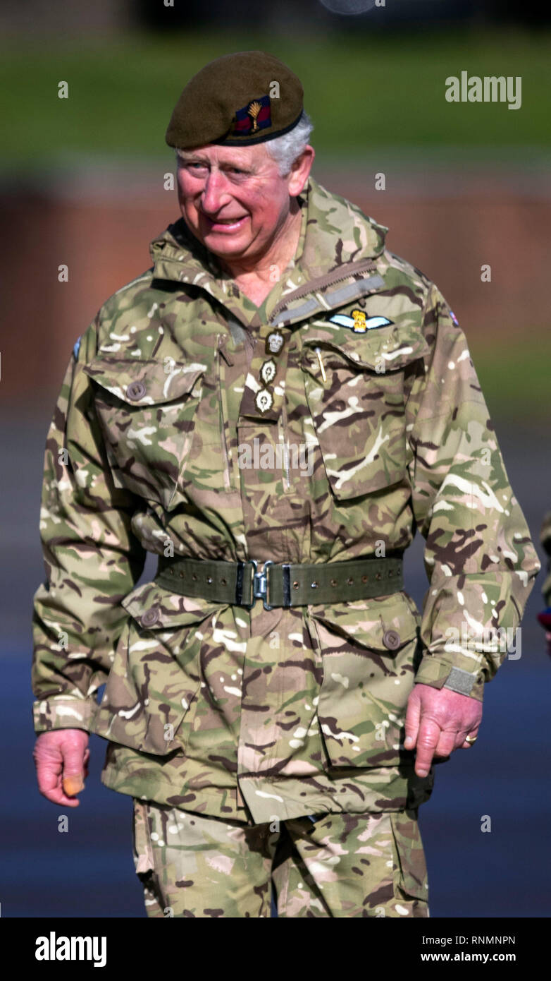 The Prince of Wales, Colonel Welsh Guards, presents campaign medals to ...