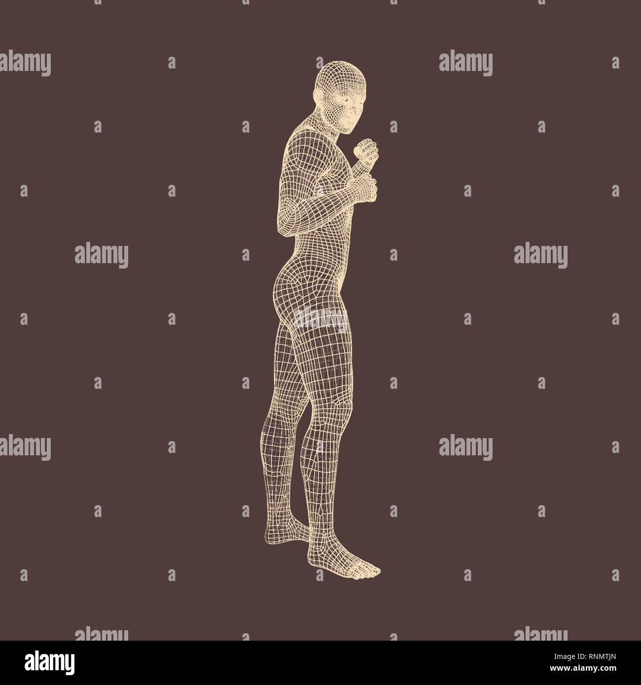 Boxer. Fighting Man. 3D Model of Man. Polygonal Design. Sport Symbol ...