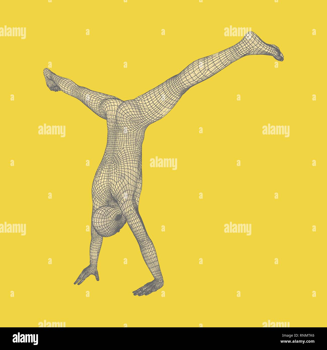 Sporty man doing handstand exercise. Gymnast. 3D model of man. Human ...