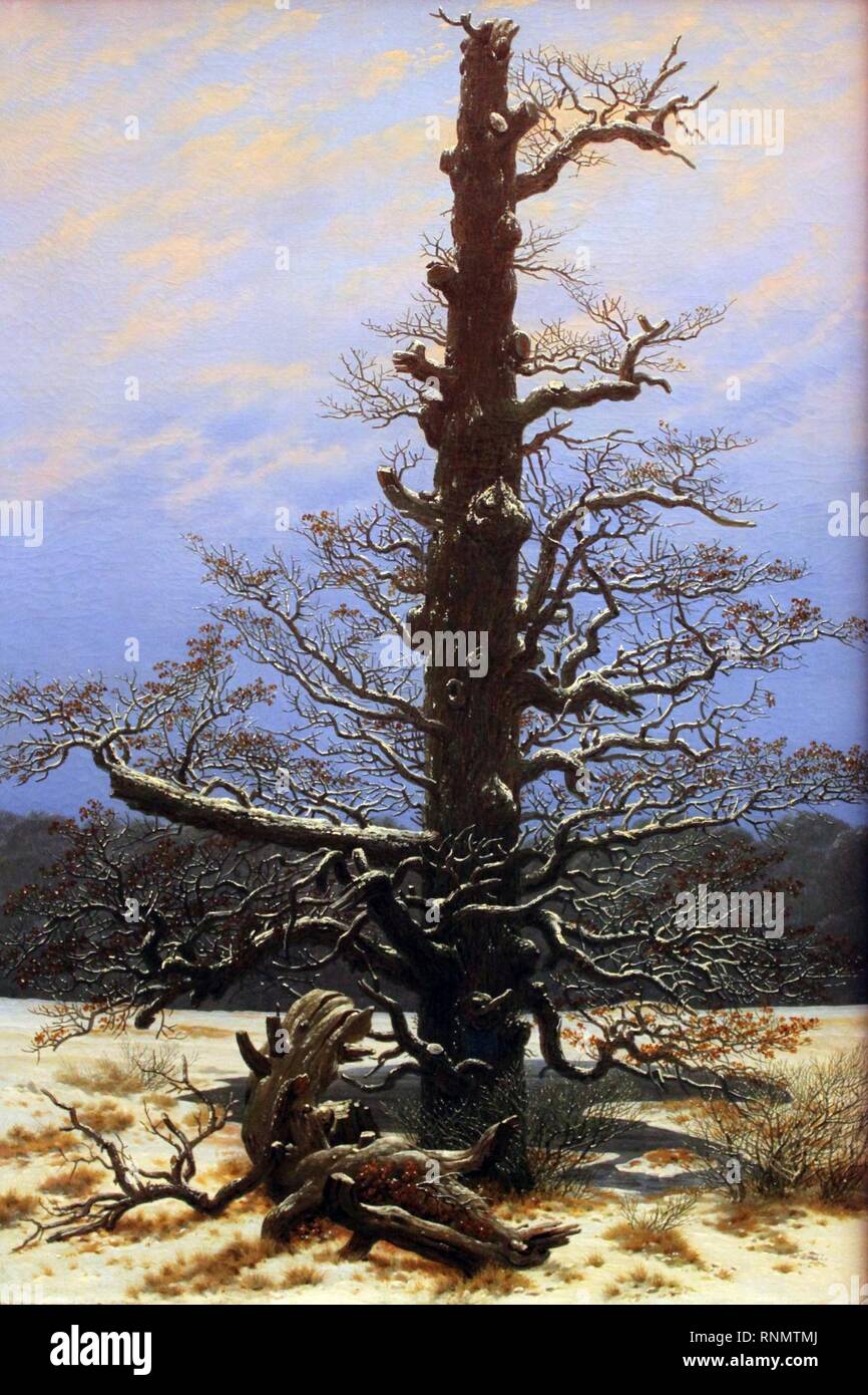 Eichbaum hi-res stock photography and images - Alamy