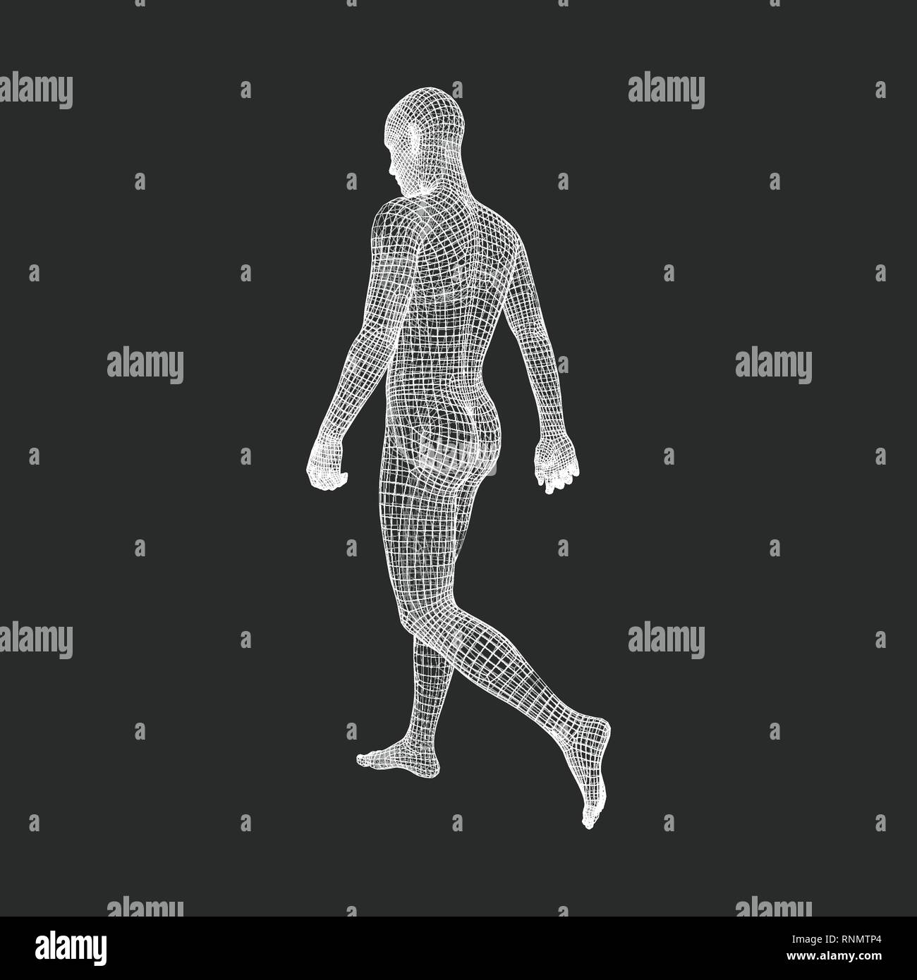 Walking Man. 3D Human Body Model. Geometric Design. Human Body Wire ...