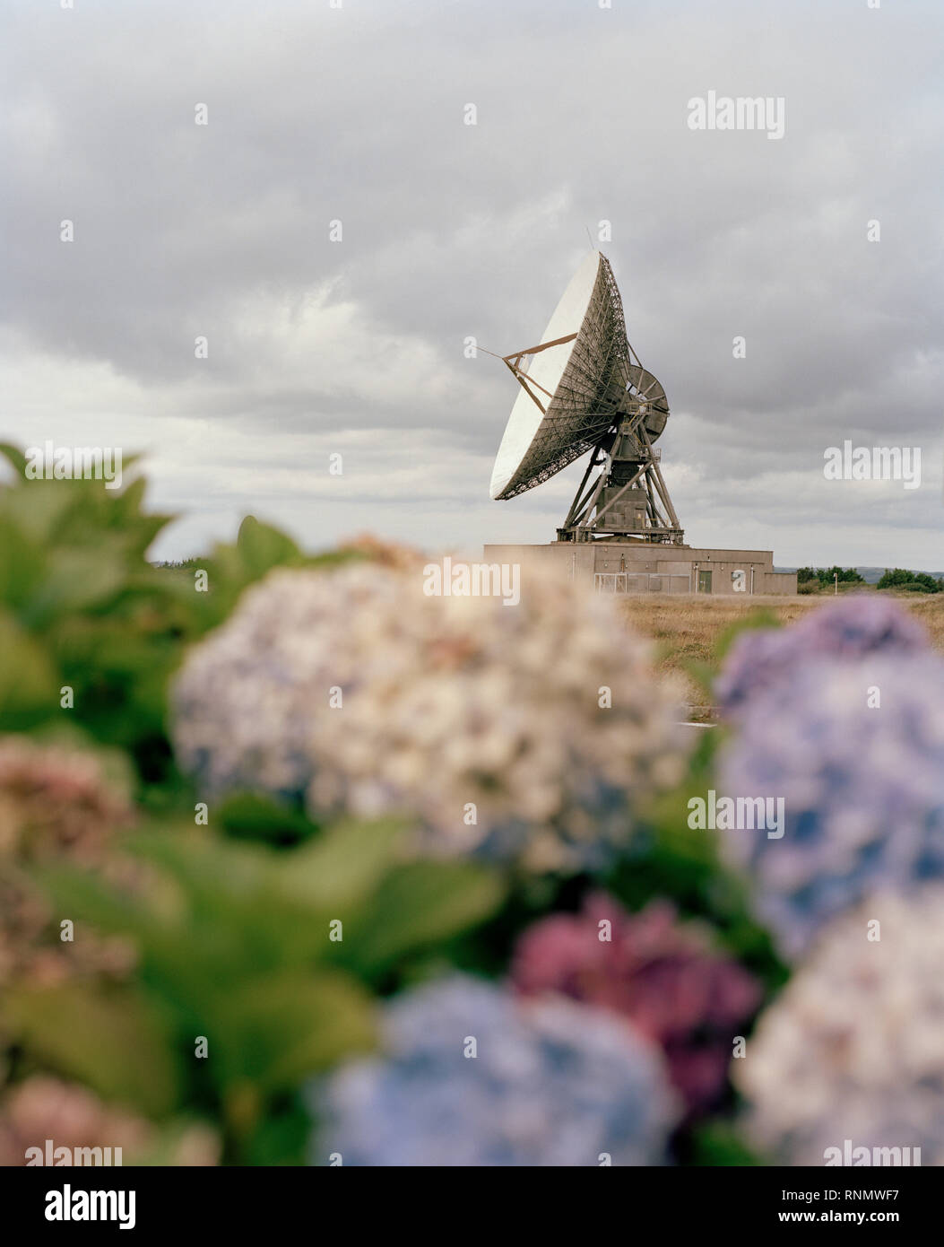 Merlin, also known as Goonhilly-6 is the largest dish on the site ...