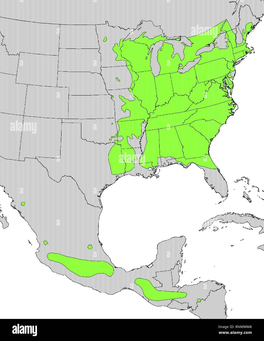 Carpinus caroliniana range map Stock Photo - Alamy