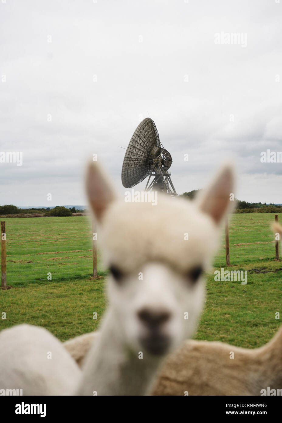 Largest satellite goonhilly earth station hi-res stock photography and ...