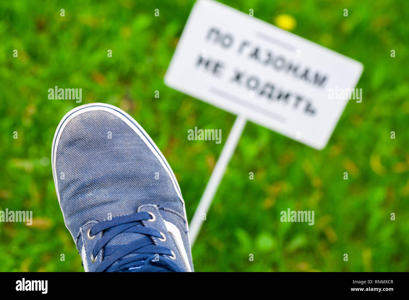 Green grass lawns hi-res stock photography and images - Alamy