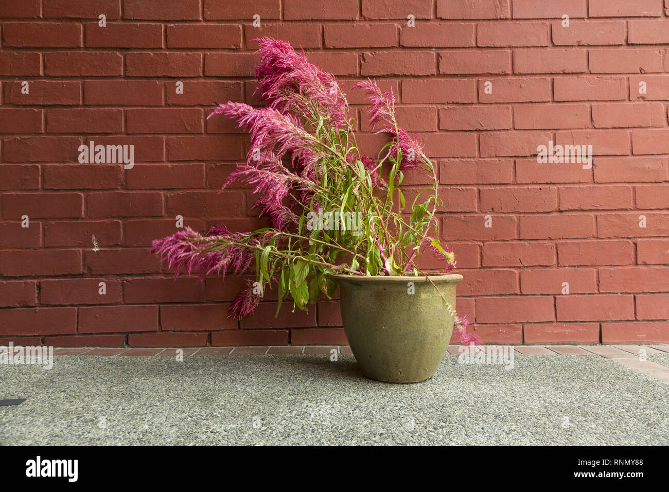 Pottery composition hi-res stock photography and images - Alamy