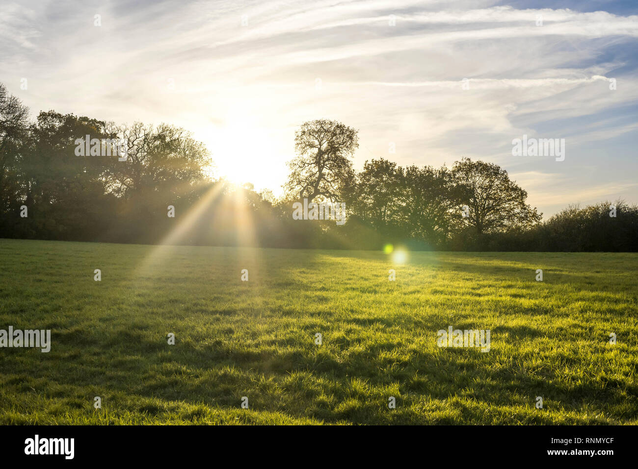 London park bright light hi-res stock photography and images - Alamy