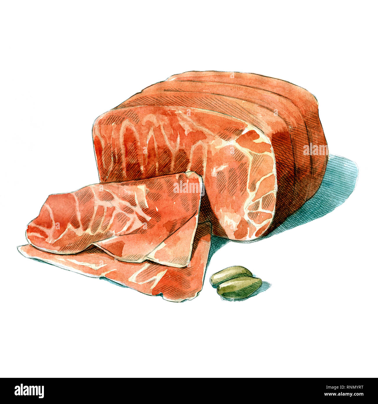 Processed meat watercolor hi-res stock photography and images - Alamy