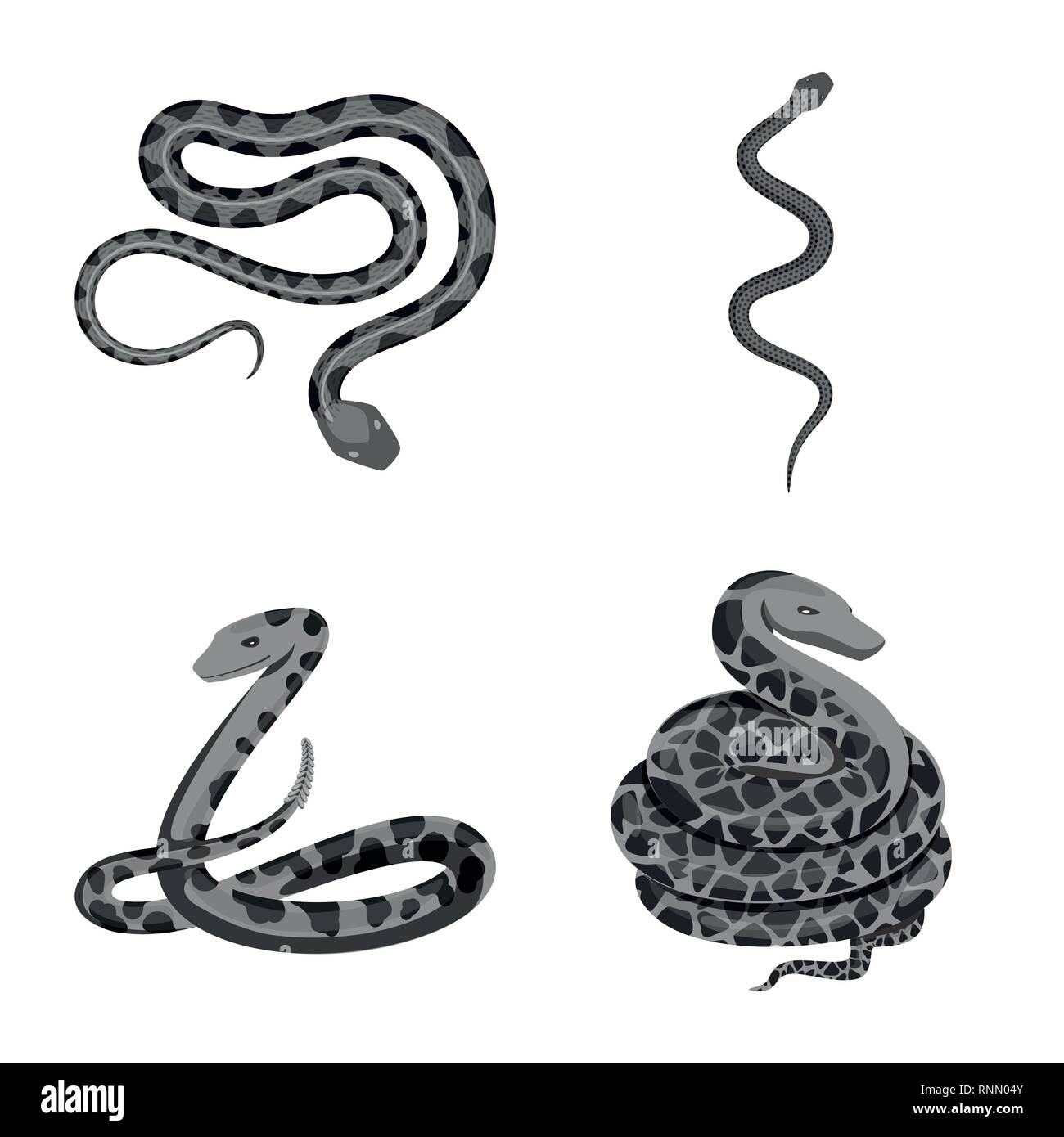 viper,snake,tail,python,jump,forest,spiral,death,anaconda,peril,wild ...