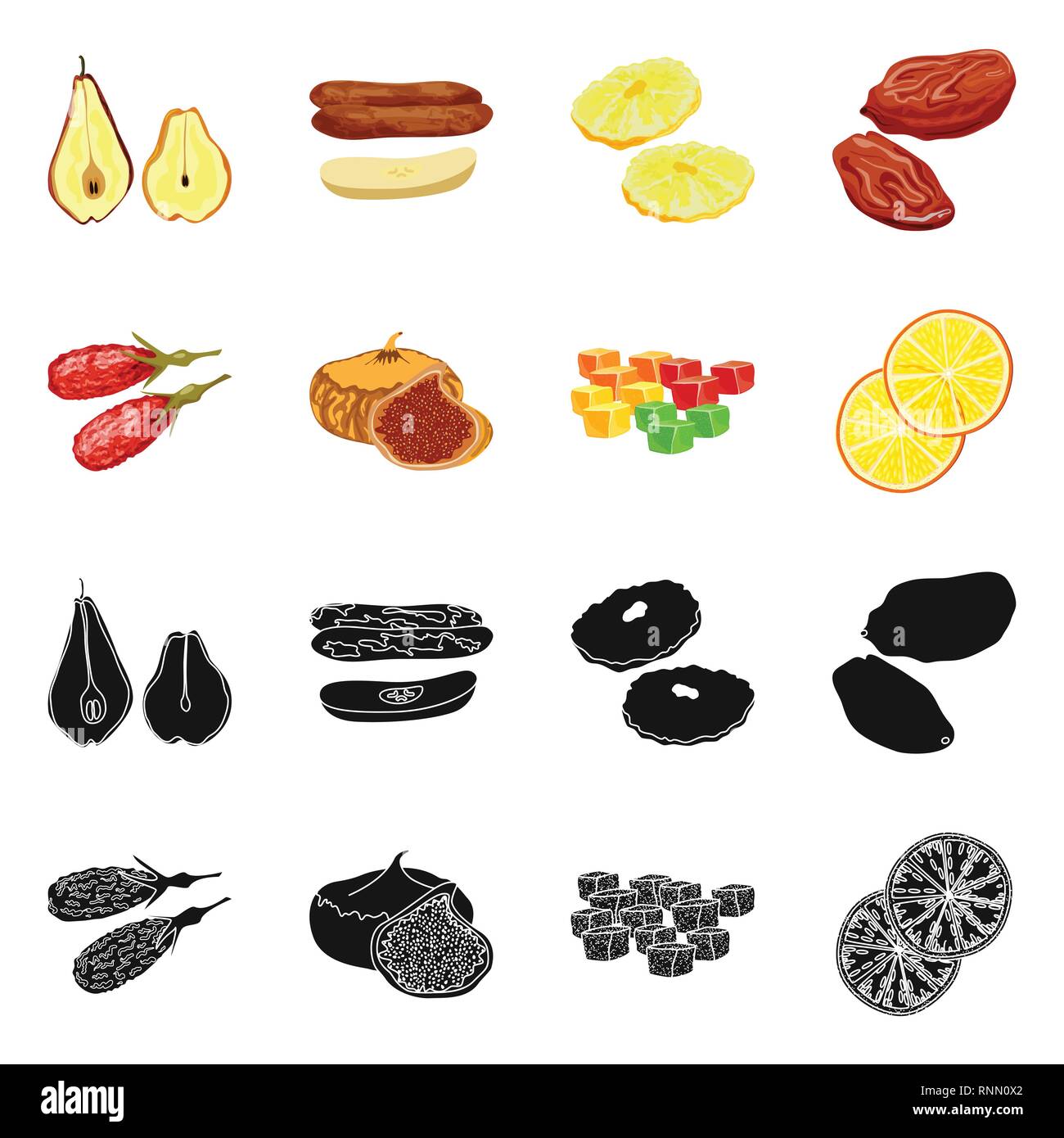 Vector illustration of food and raw icon. Collection of food and nature ...