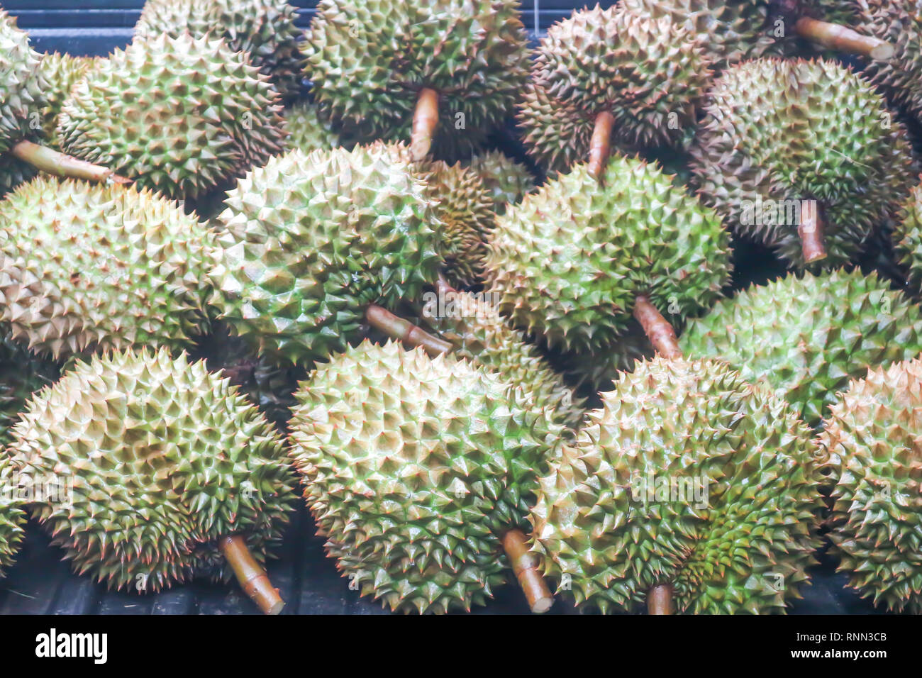 Small durian hi-res stock photography and images - Alamy