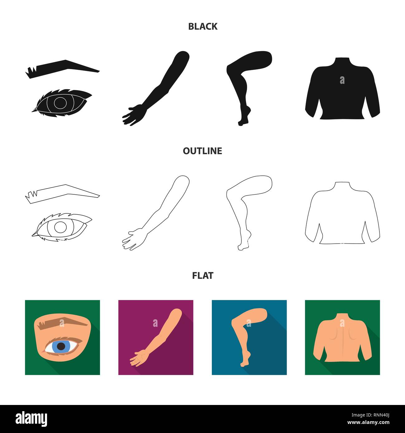 Isolated object of body and part sign. Set of body and anatomy stock ...