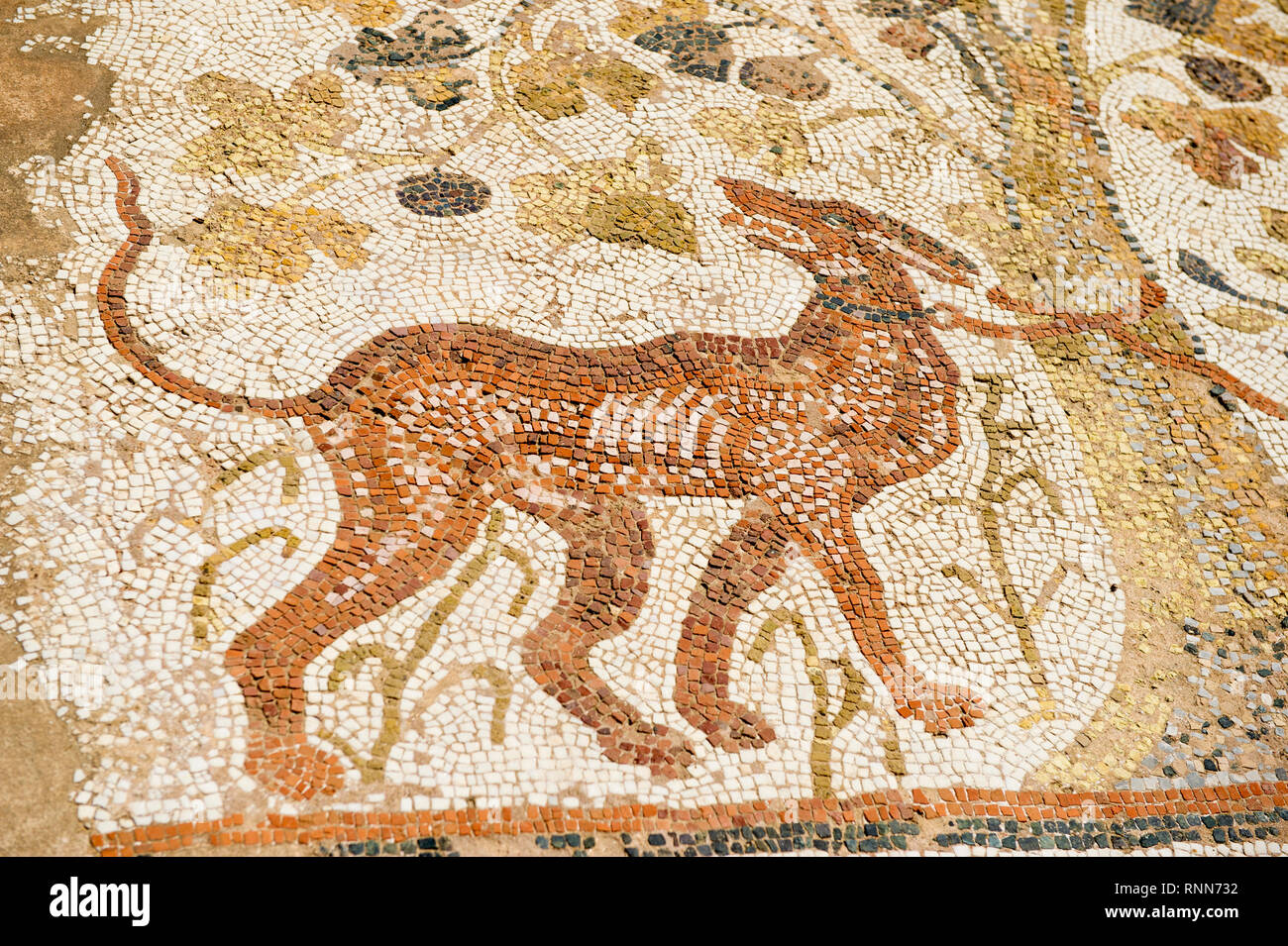 Heraclea Lyncestis, ruins of an ancient Greek and later Roman city ...