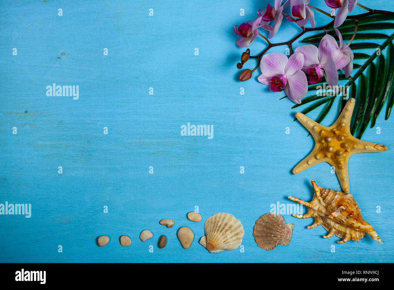 Orchid, seashells, starfish and leaf of palm tree on a blue wooden ...