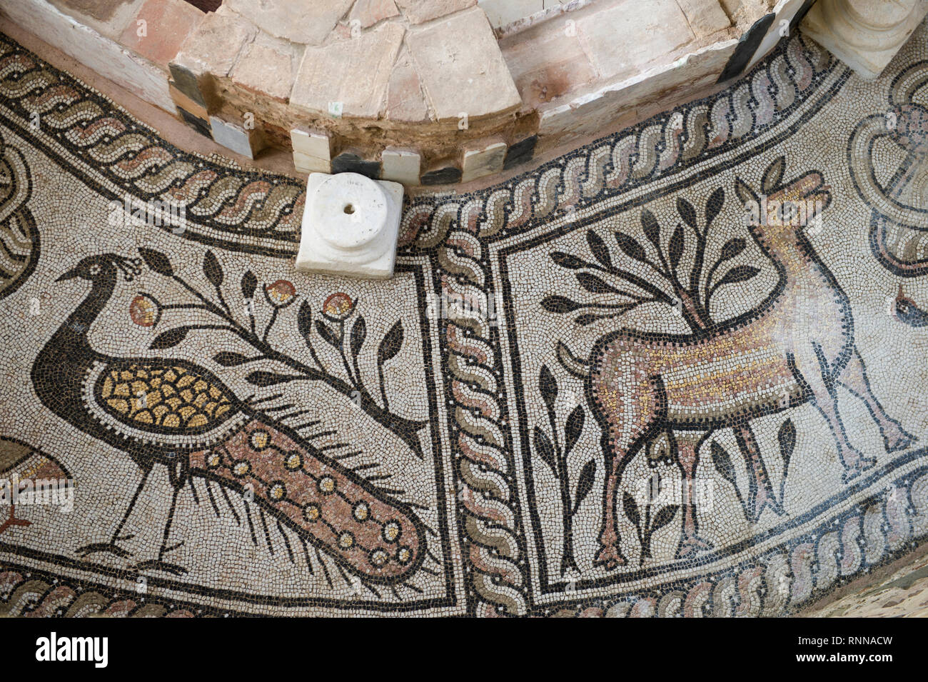 Mosaic, The Ruins of Stobi, Macedonia Stock Photo - Alamy