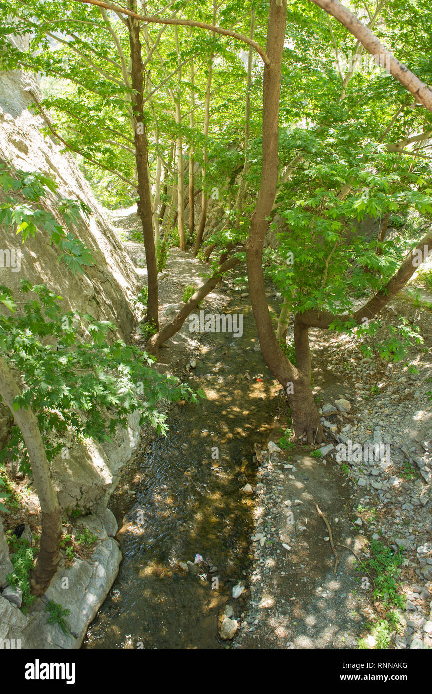 Tributary of the Vardar River flowing through the Iron Gate mountain ...
