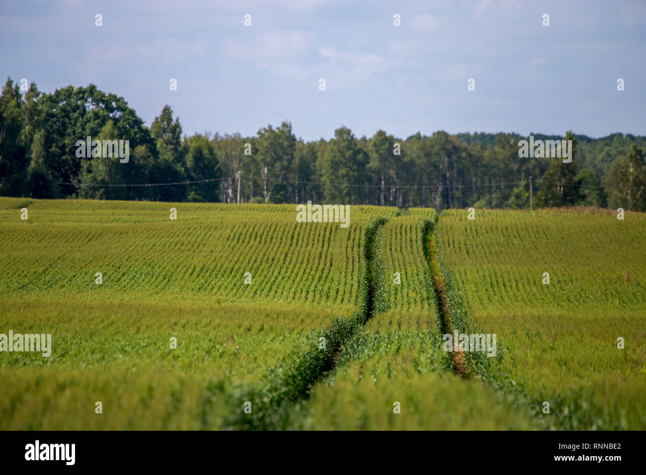 Panorama farm field road hi-res stock photography and images - Alamy