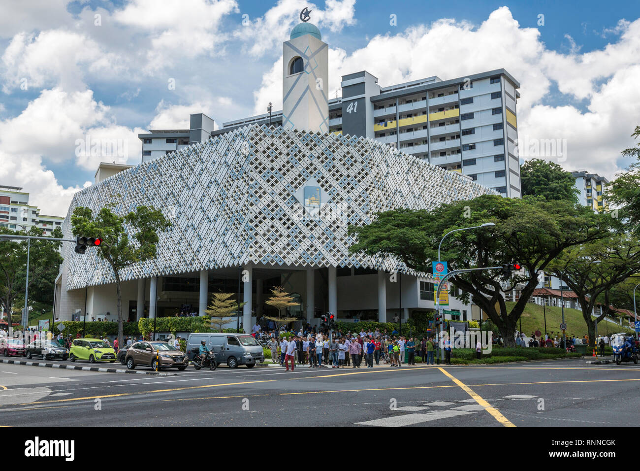 Ansar ansar hi-res stock photography and images - Alamy