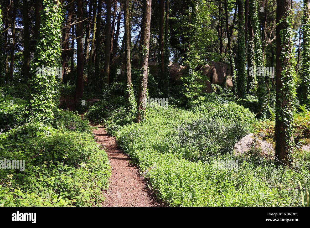 Sintra, Portugal - Gardens of Pena Park (Jardins do Parque da Pena ...