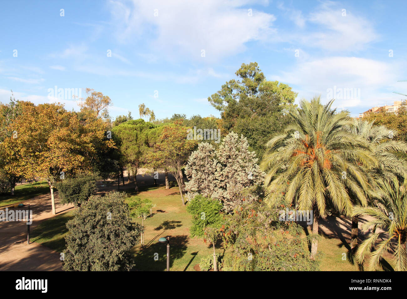 Valencia, Spain. Trees in famous Turia gardens Stock Photo - Alamy